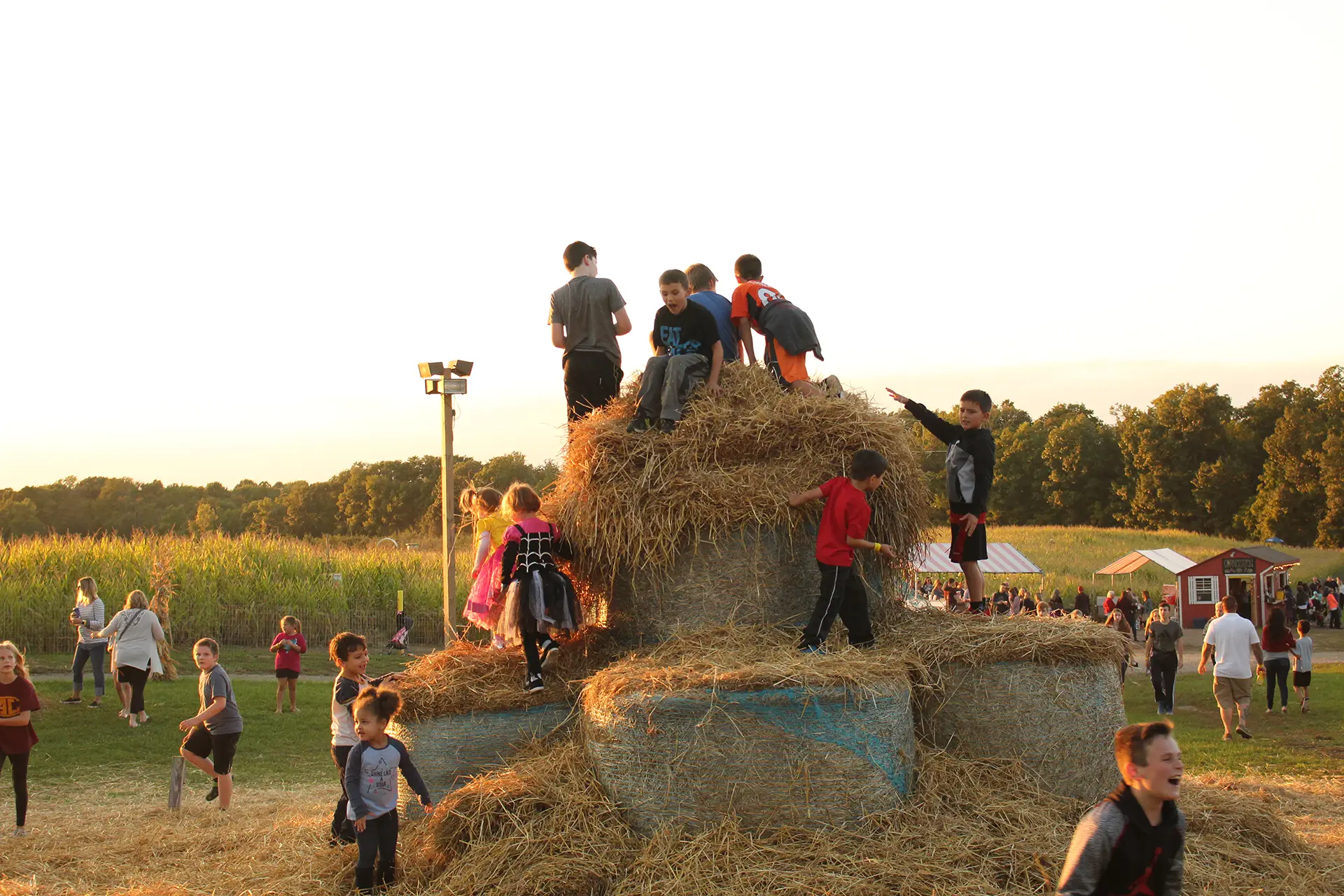 Pumpkin Village 2026 | Ohio's Best Fall Festival | Mapleside Farms