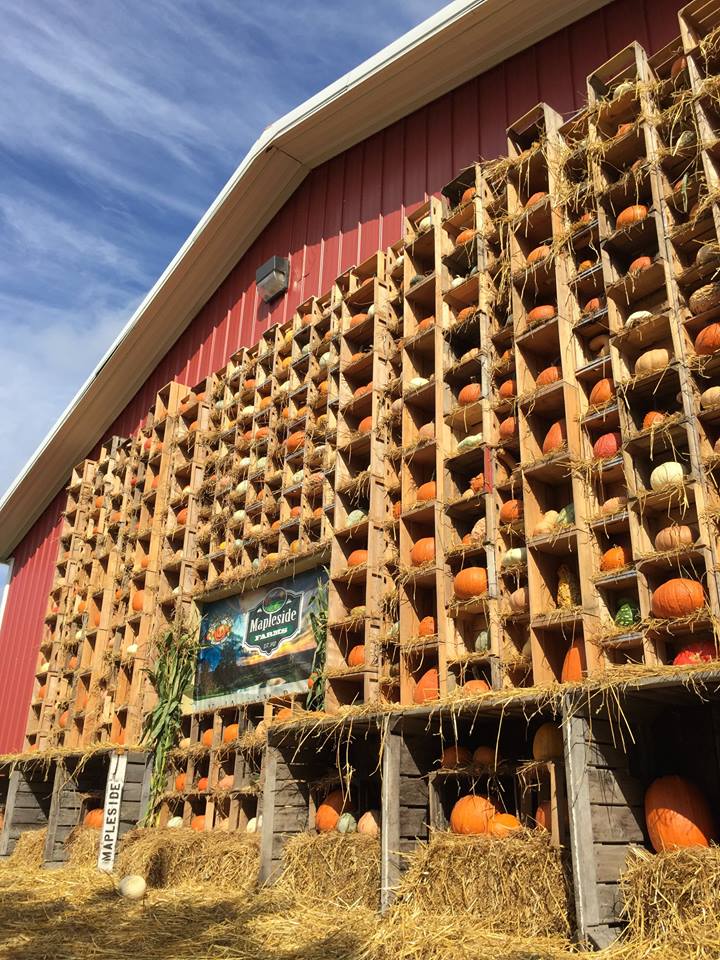 Pumpkin Village 2026 | Fall Festival Near Cleveland